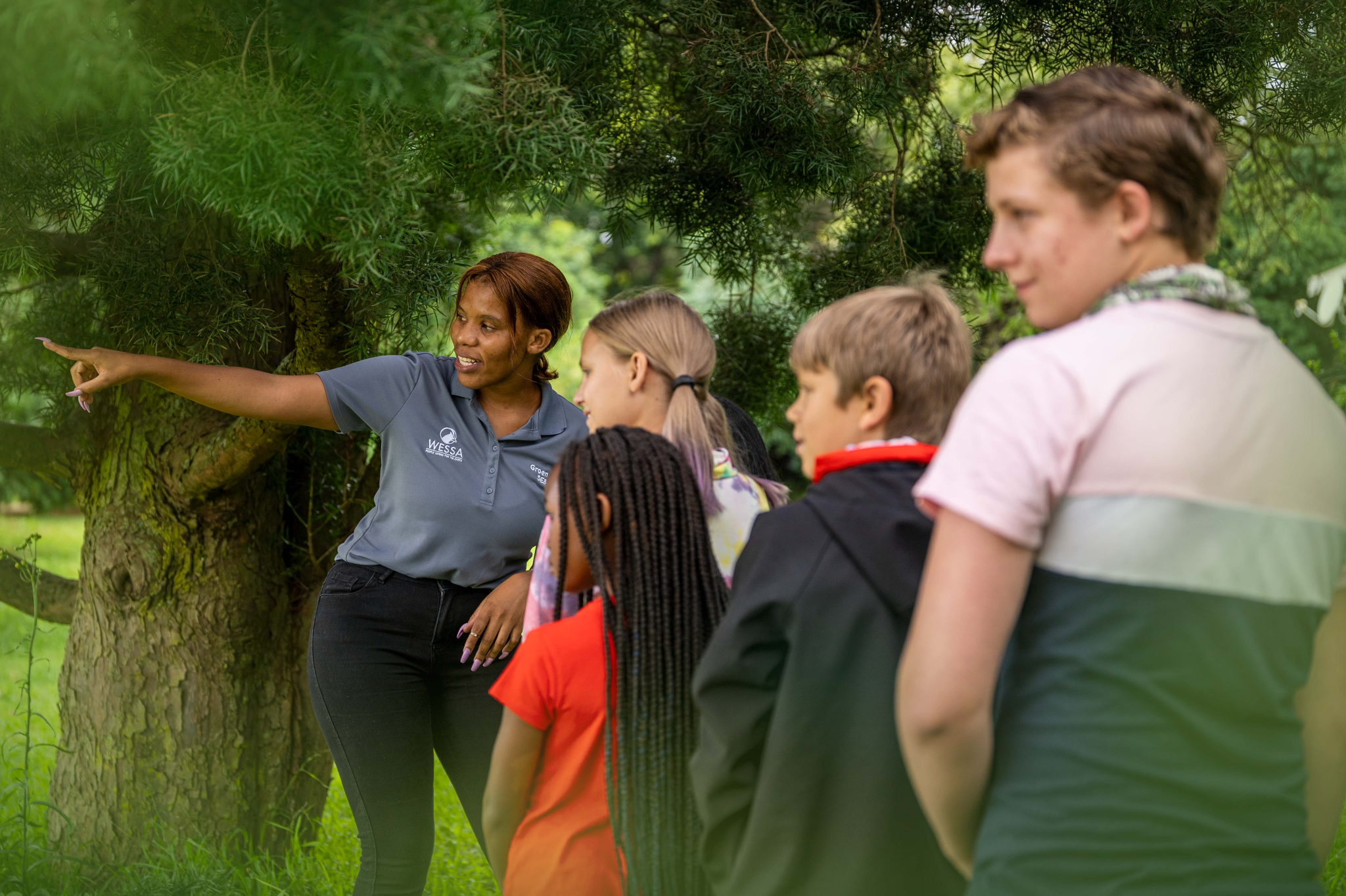 Light Up Umngeni | Umngeni Tourism